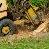 Proven Quality Tree Service | Tree Care & Removal Services | Monterey ...