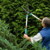 Proven Quality Tree Service | Tree Care & Removal Services | Monterey ...